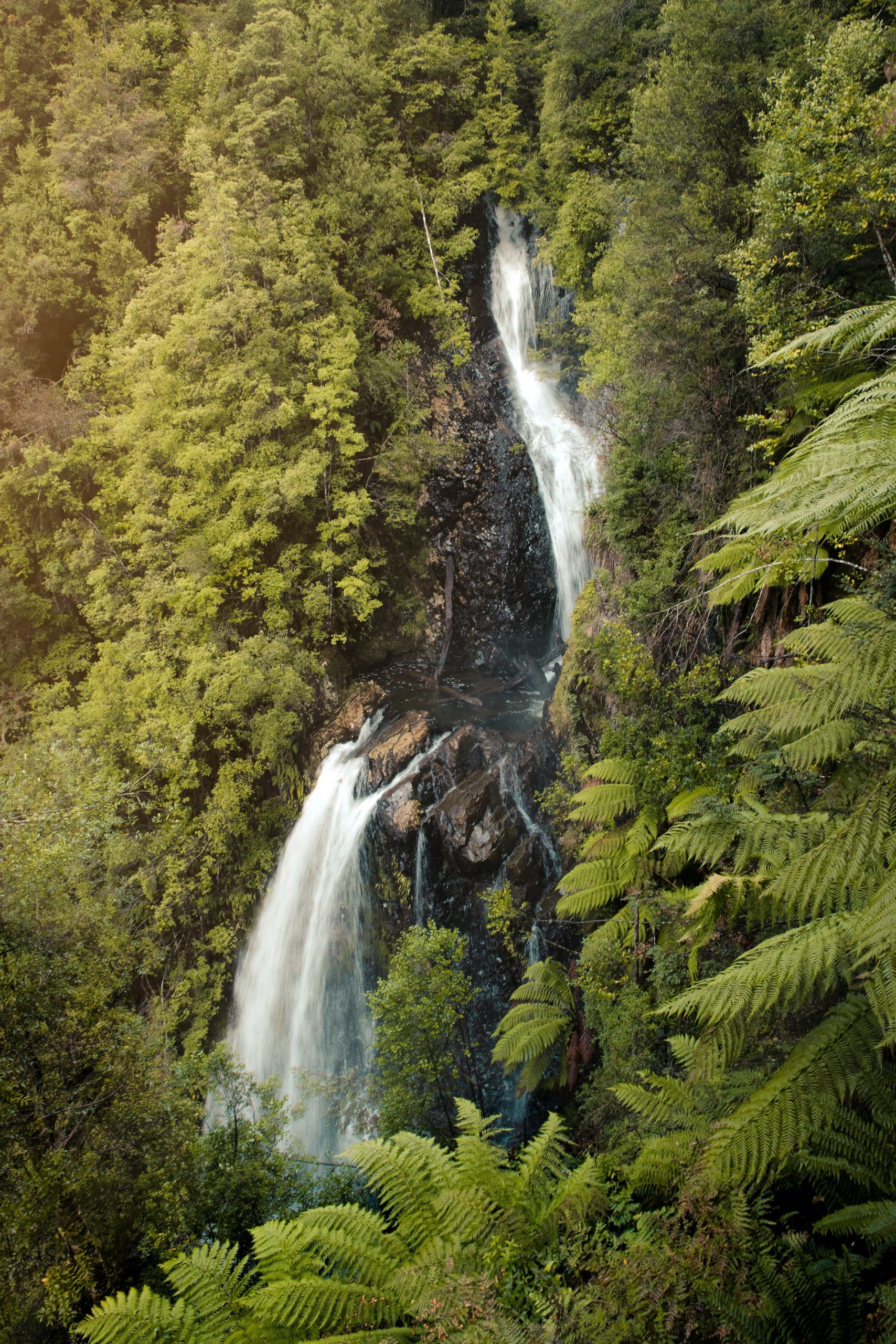 Philosopher Falls, Tasmania. - Walkers Journal