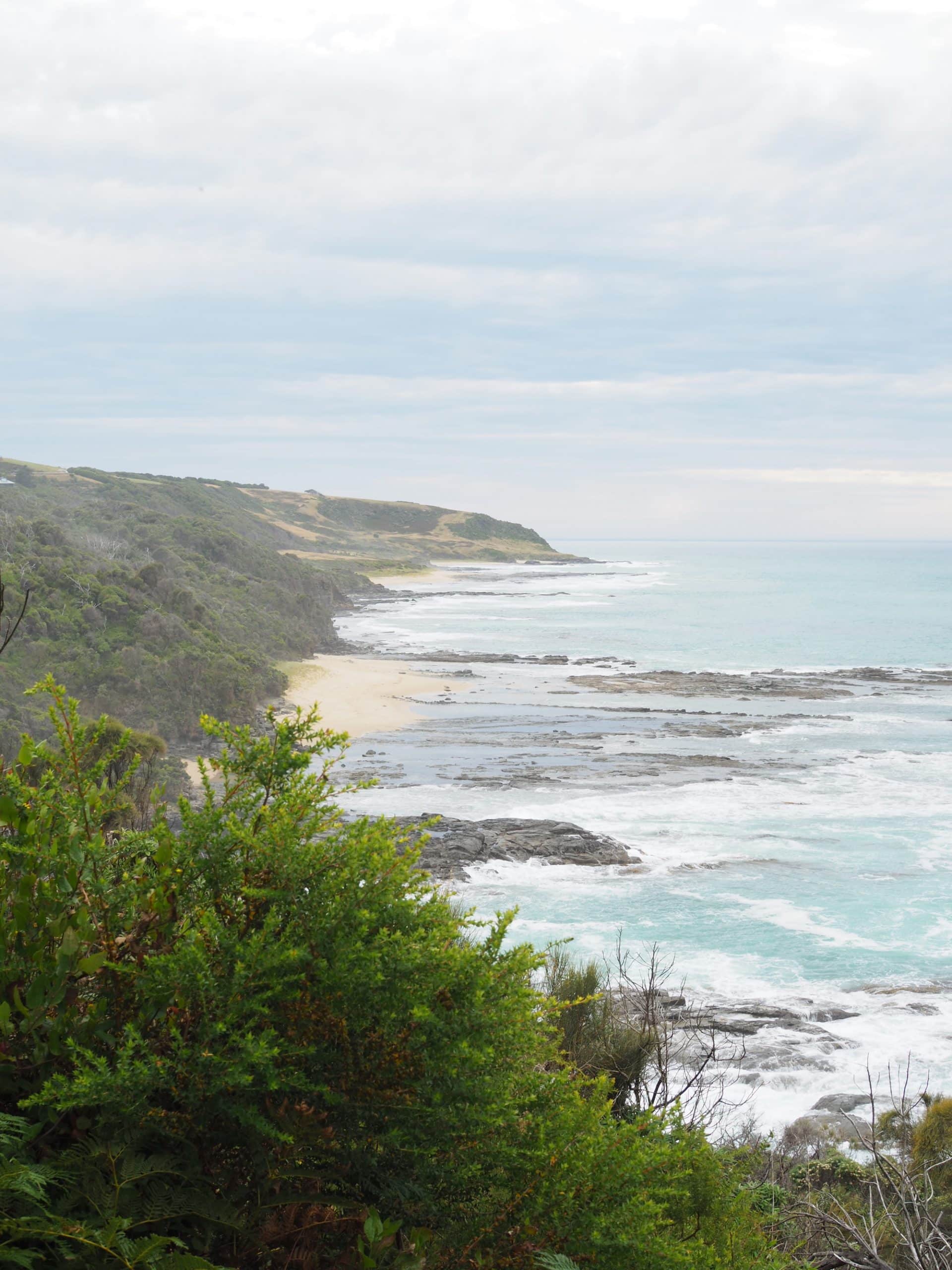 Elliot River Loop Walk, Apollo Bay | Walkers Journal