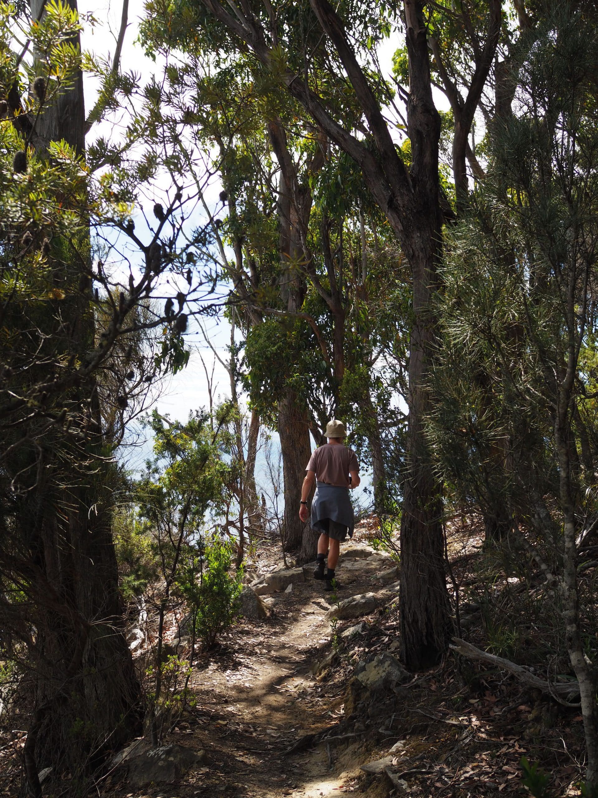 Waterfall Bluff, Tasmania | Waterfall Bay Cliff Walk