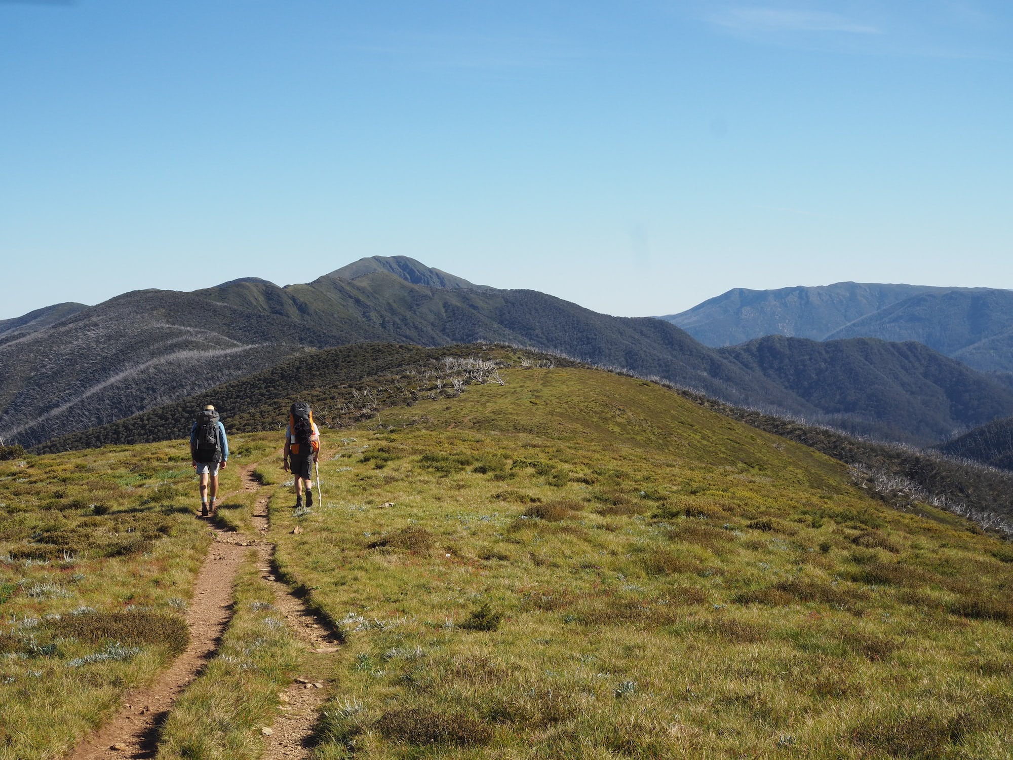 Mount Feathertop, Victoria. - Walkers Journal