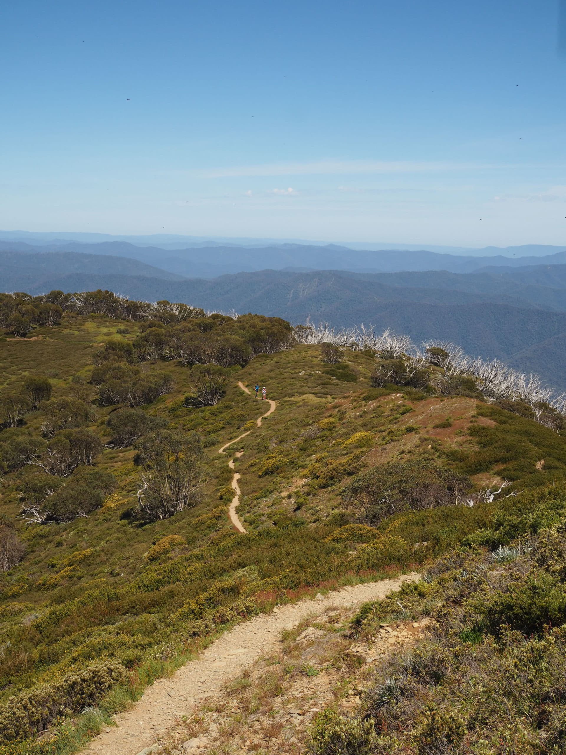 Mount Feathertop, Victoria. - Walkers Journal