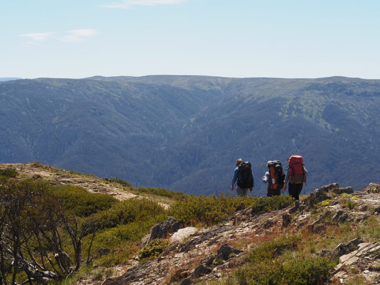 Mount Feathertop, Victoria. - Walkers Journal