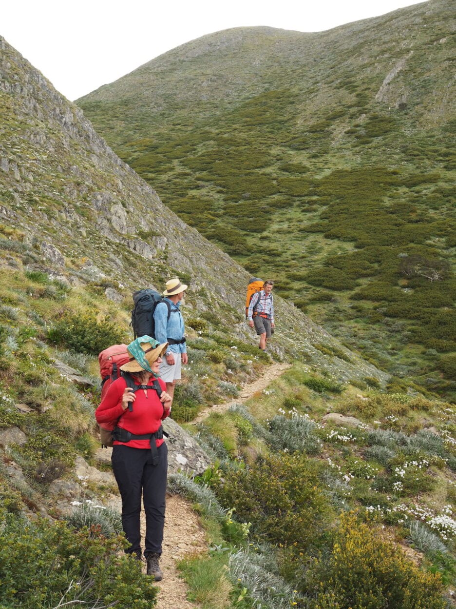 Mount Feathertop, Victoria. - Walkers Journal