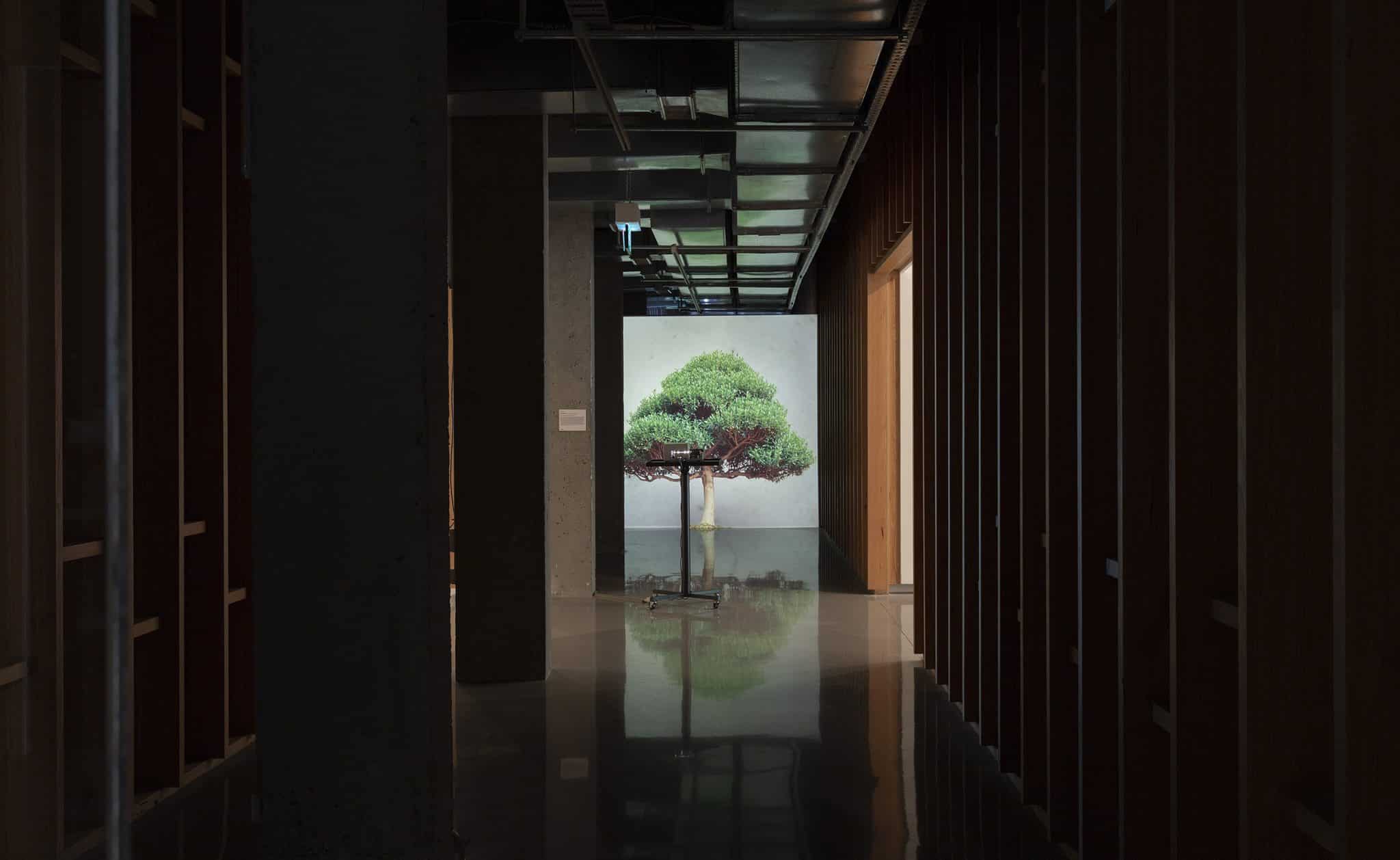 Tree Story exhibition creates forest of ideas - Walkers Journal