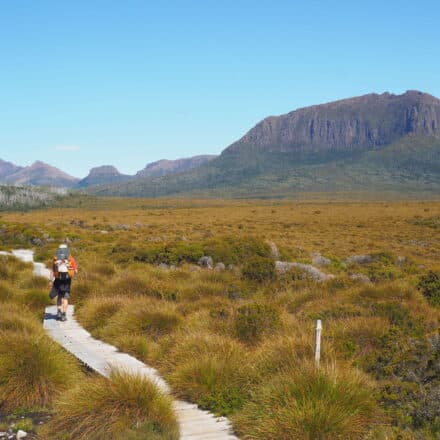 The Tarkine Wilderness Walks | Best North West Tasmania Hikes