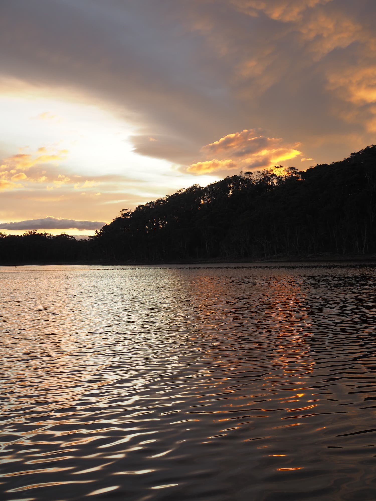 Middle Lagoon Circuit, New South Wales. - Walkers Journal