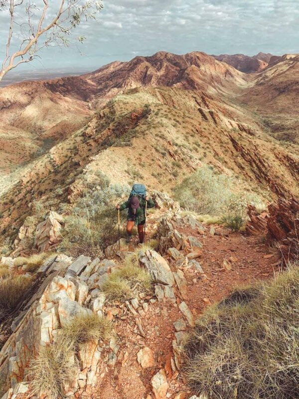 The Larapinta Trail, Northern Territory: Map, Tips & Walking Guide