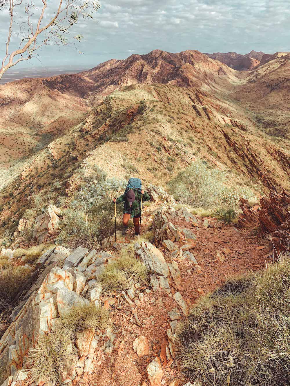 The Larapinta Trail, Northern Territory: Map, Tips & Walking Guide