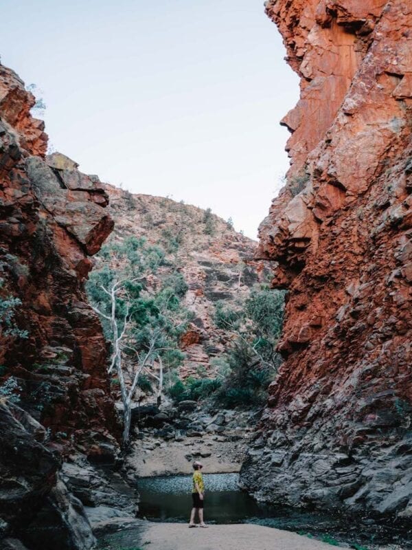 The Larapinta Trail, Northern Territory: Map, Tips & Walking Guide