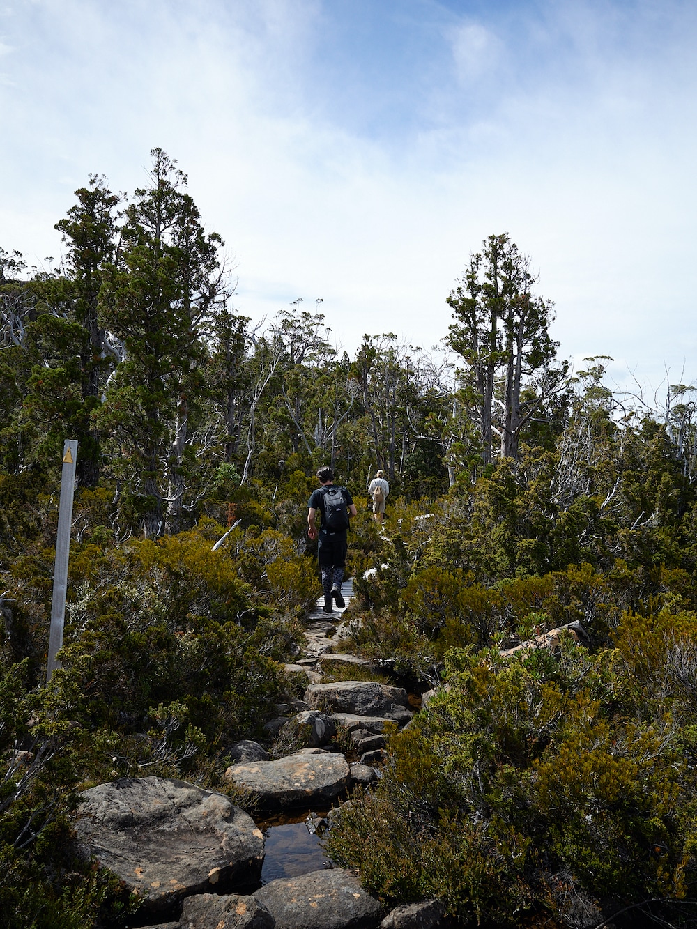 Lake Webster Tarn Shelf, Tasmania. - Walkers Journal