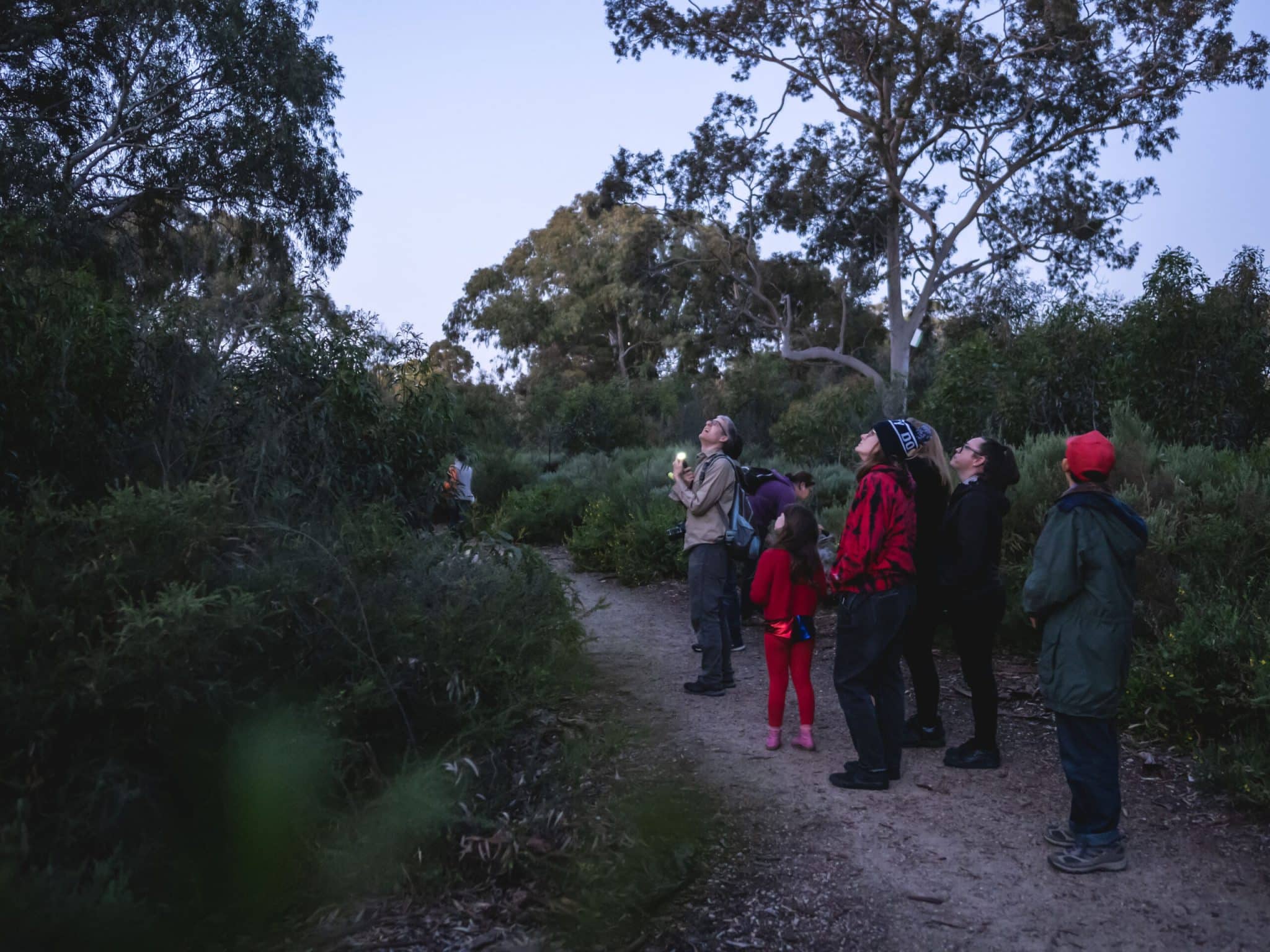 Nature Festival releases full 2021 program - Walkers Journal