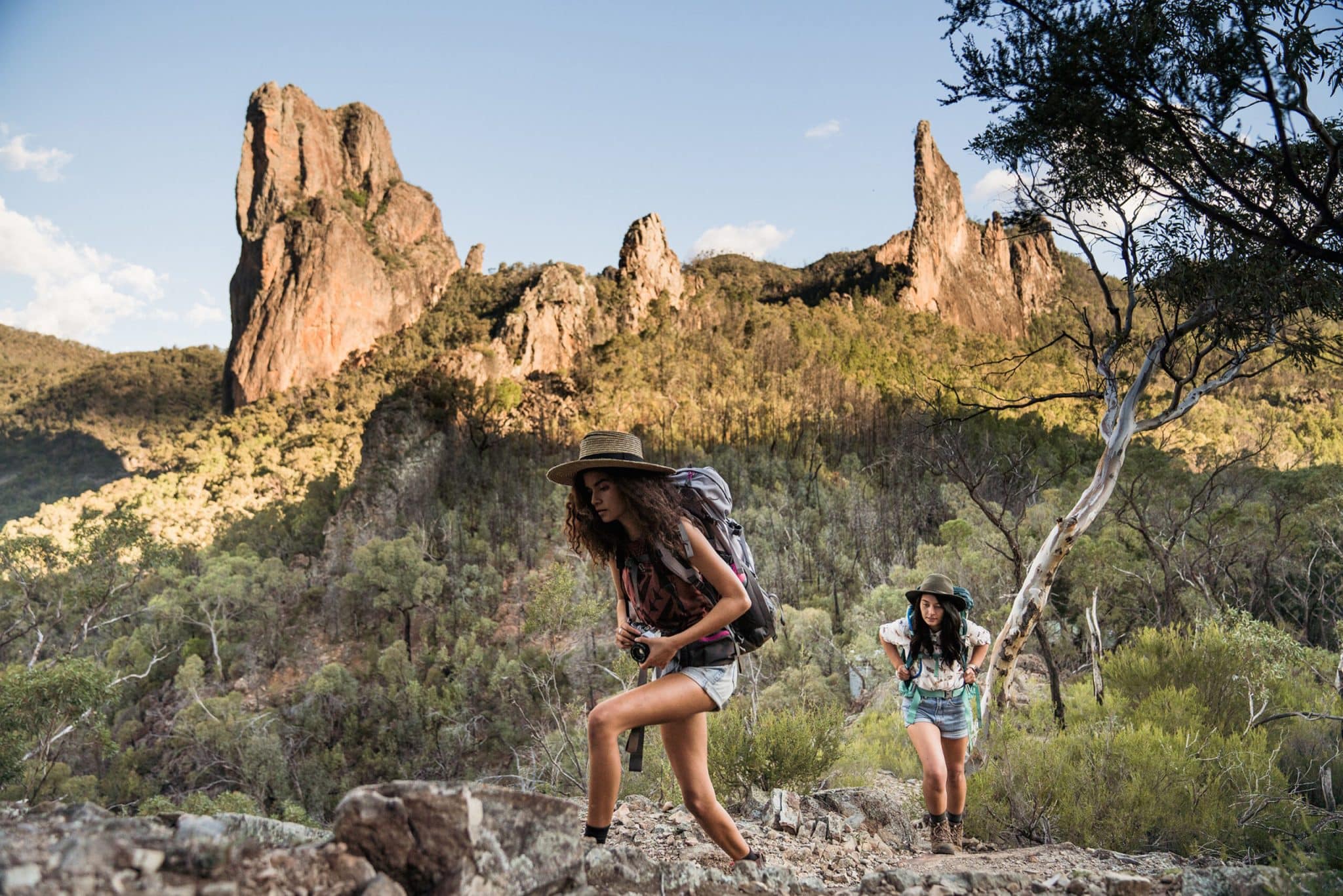 Top NSW day bushwalks and spots for sleeping - Walkers Journal