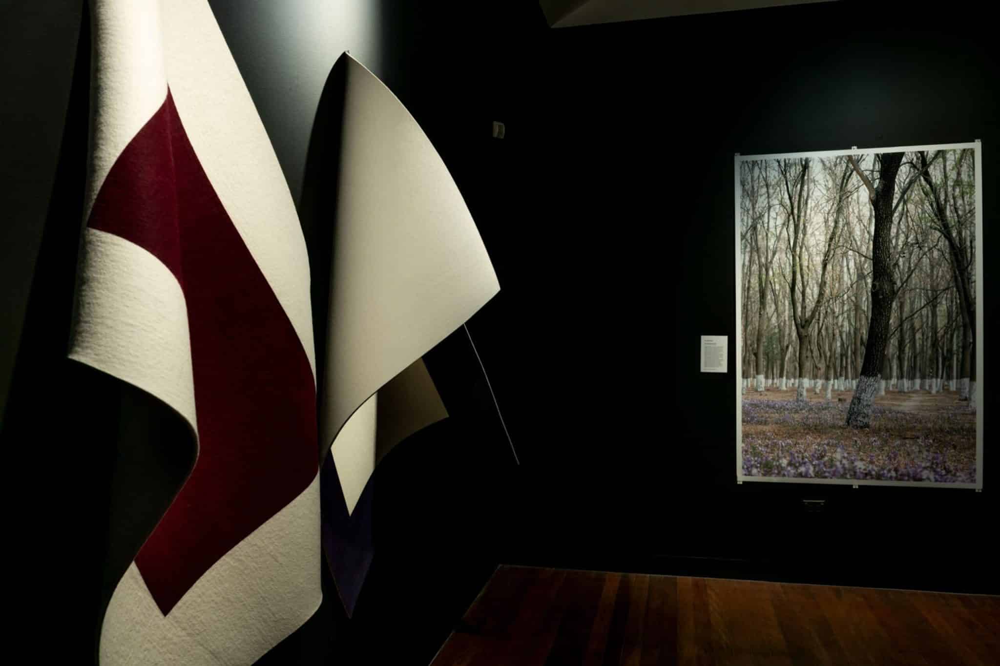 Inaugural Environmental Art and Design Prize exhibition opens - Walkers ...