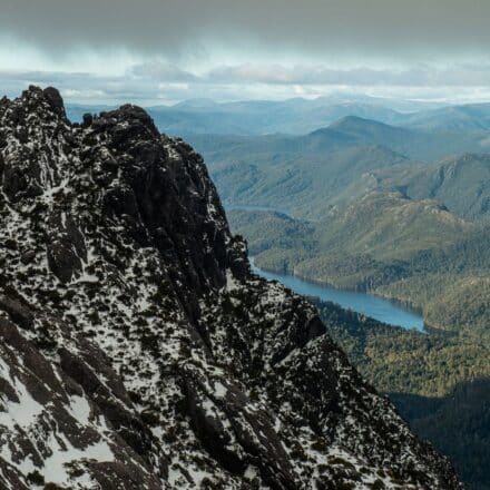 The Tarkine Wilderness Walks | Best North West Tasmania Hikes