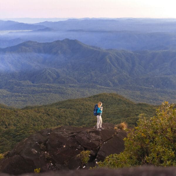 Cairns Hikes & Bush Walks | Best Walking Tracks Cairns