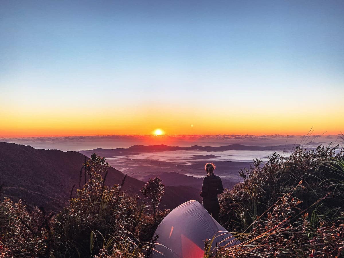 Mount Bartle Frere Hike | Walkers Journal