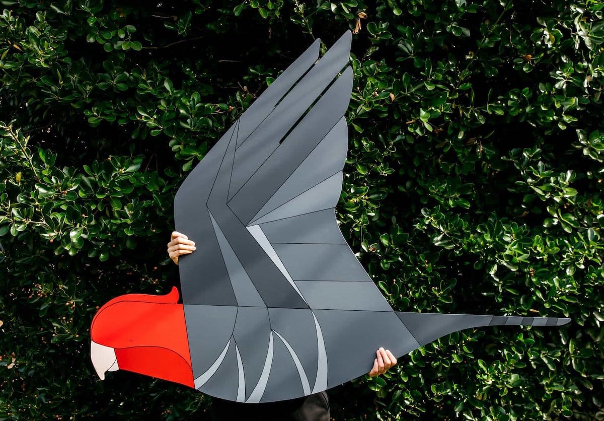 Eggpicnic’s Exhibition Explores Humans & Animals | Walkers Journal