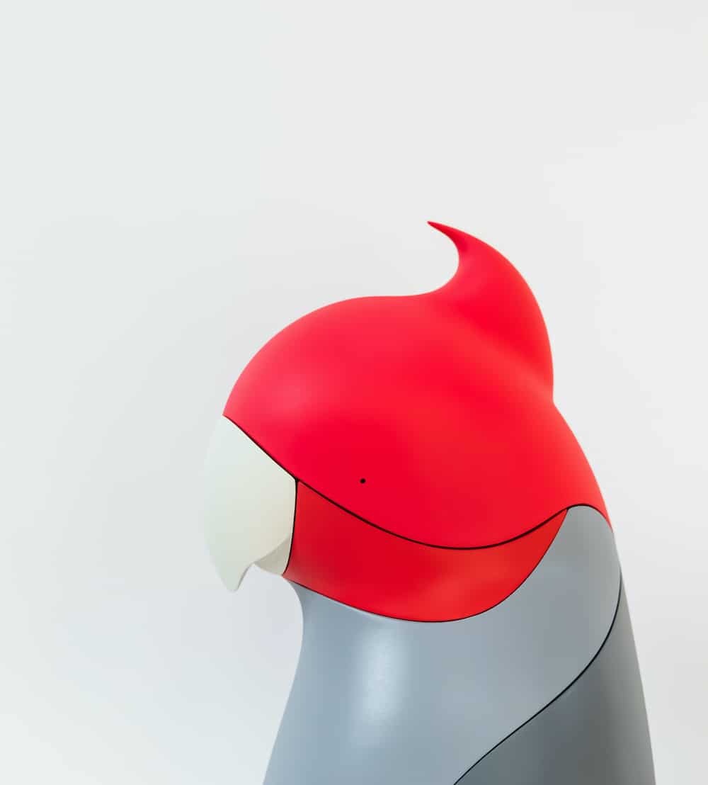 Eggpicnic’s Exhibition Explores Humans & Animals | Walkers Journal