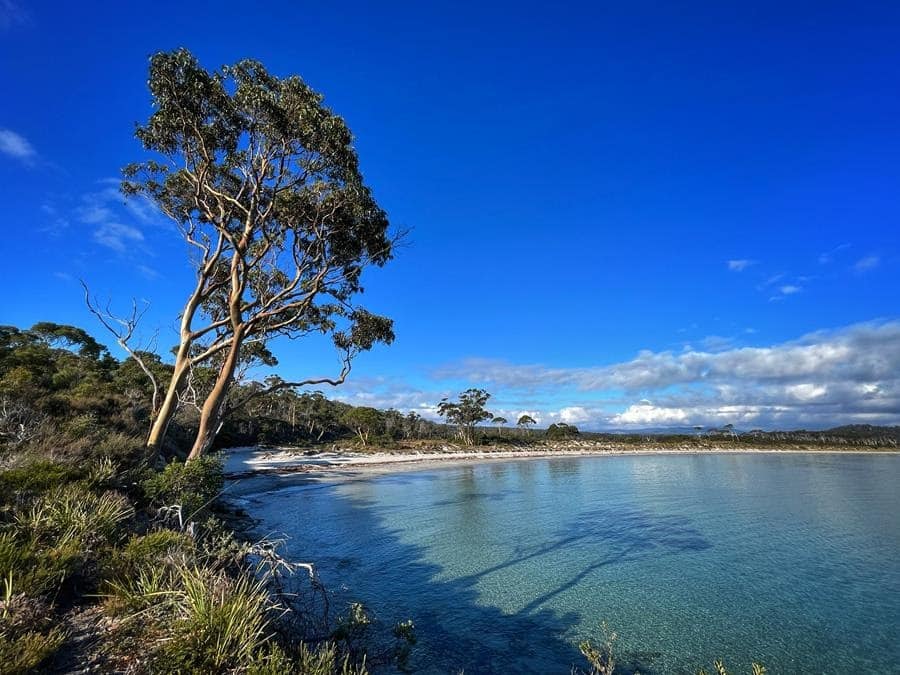 Campaign Kicks off for Southern Nature Sanctuary | Walkers Journal