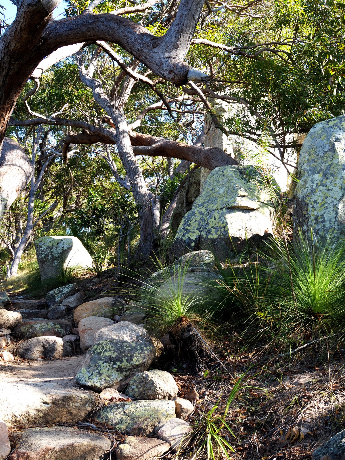 Magnetic Island, Queensland. - Walkers Journal