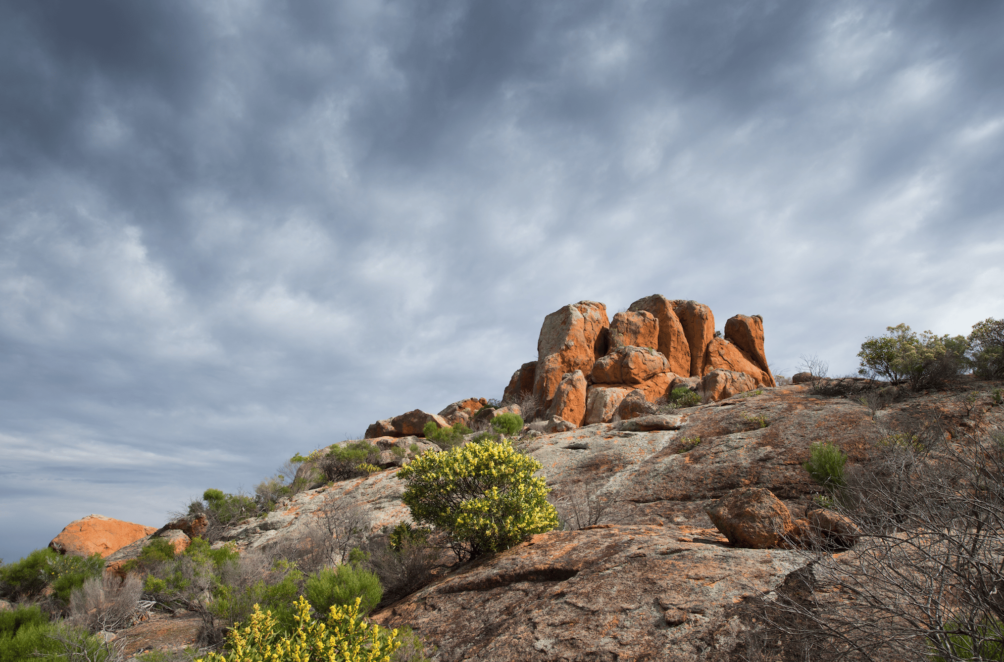 Hiltaba Nature Reserve, South Australia. - Walkers Journal