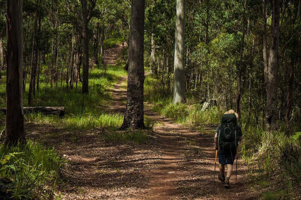 NSW NPWS Network of Great Walks in NSW | Walkers Journal
