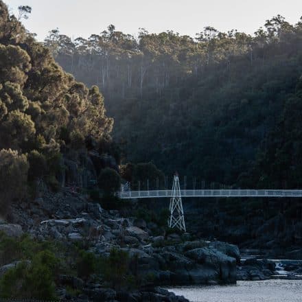 Launceston Hikes | Best Walking Tracks Launceston