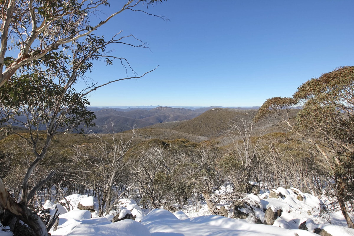 Stockyard Spur to Mt Gingera Walking Trail | Walkers Journal