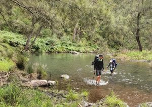 Green Gully Track Hike | Walkers Journal