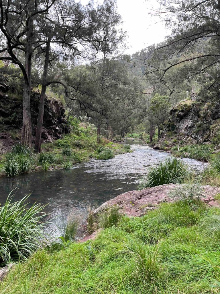 Green Gully Track Hike | Walkers Journal