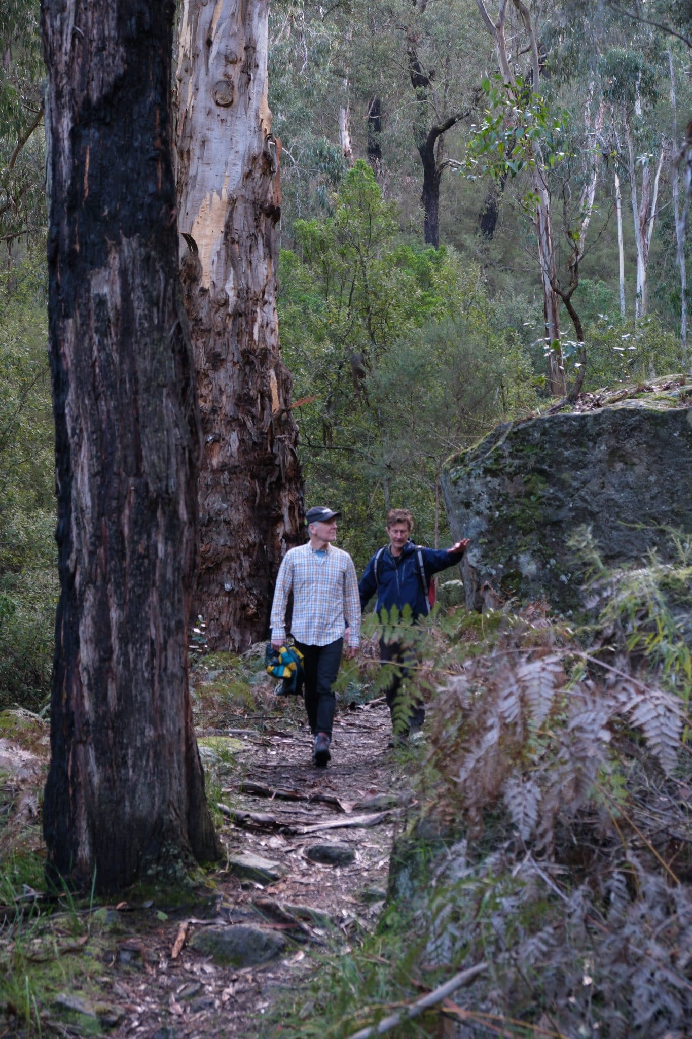 Ironbark Gorge Circuit —Victoria | Walkers Journal