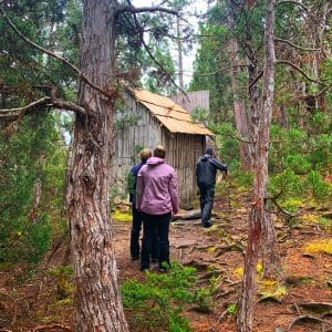 Hiking Trails in Tasmania | Best Walking Tracks TAS