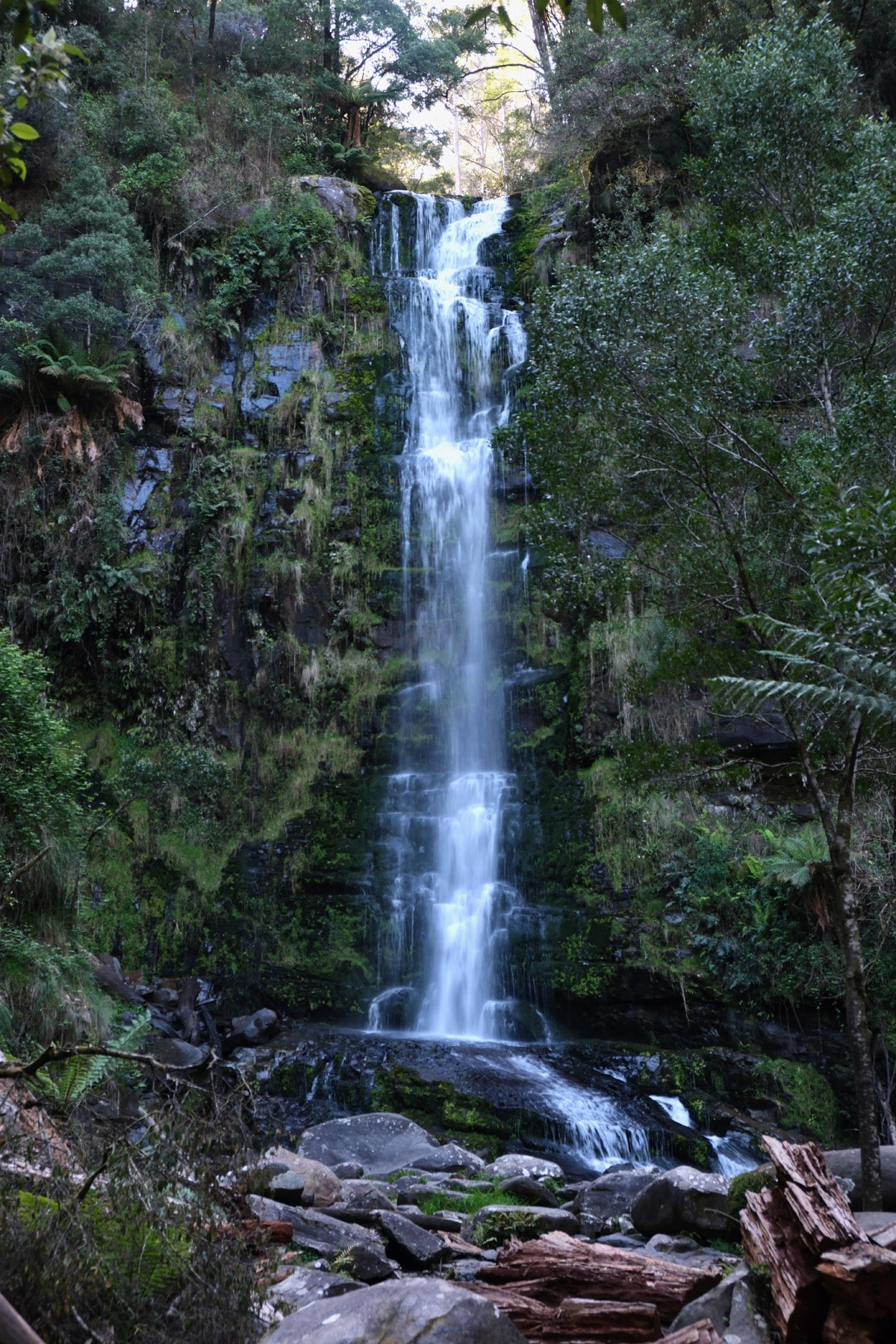 Erskine Falls, Victoria | Walkers Journal