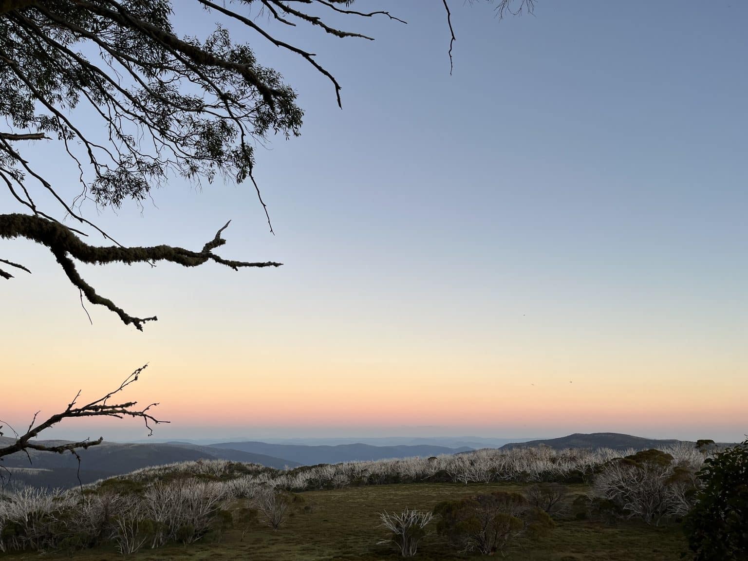 Pretty Valley to Cope Hut— Victoria | Walkers Journal