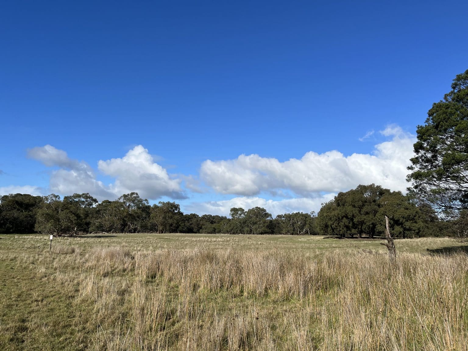 Perched Swamp and Trig Point Walk — Victoria | Walkers Journal