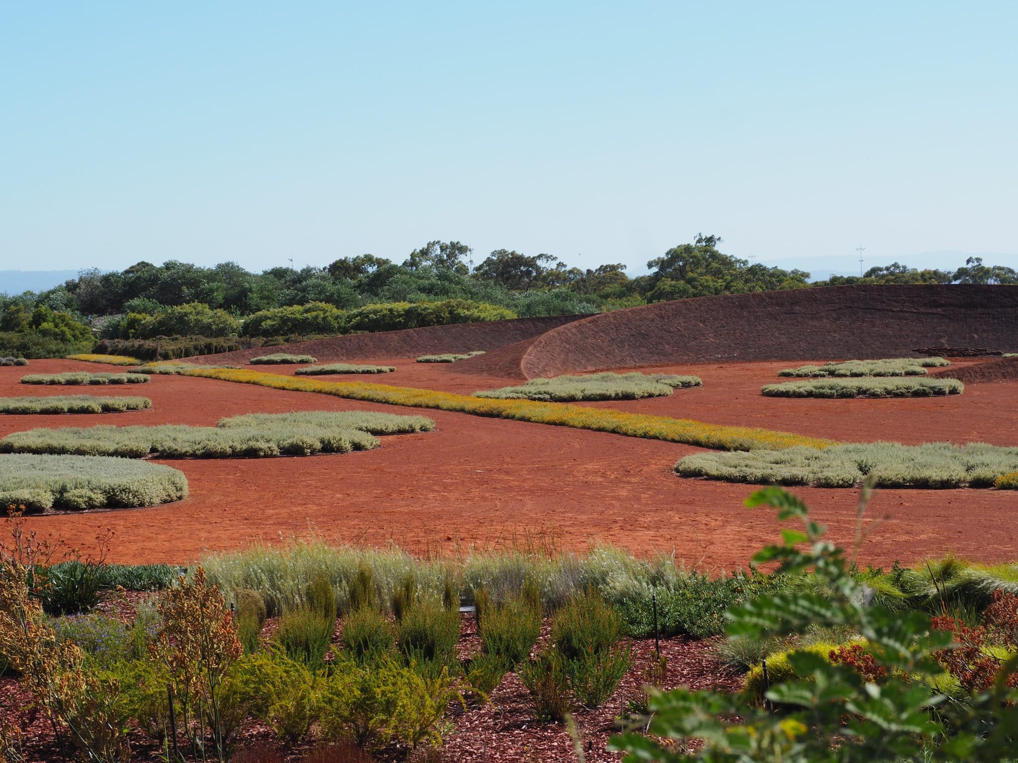 Perched Swamp and Trig Point Walk — Victoria | Walkers Journal