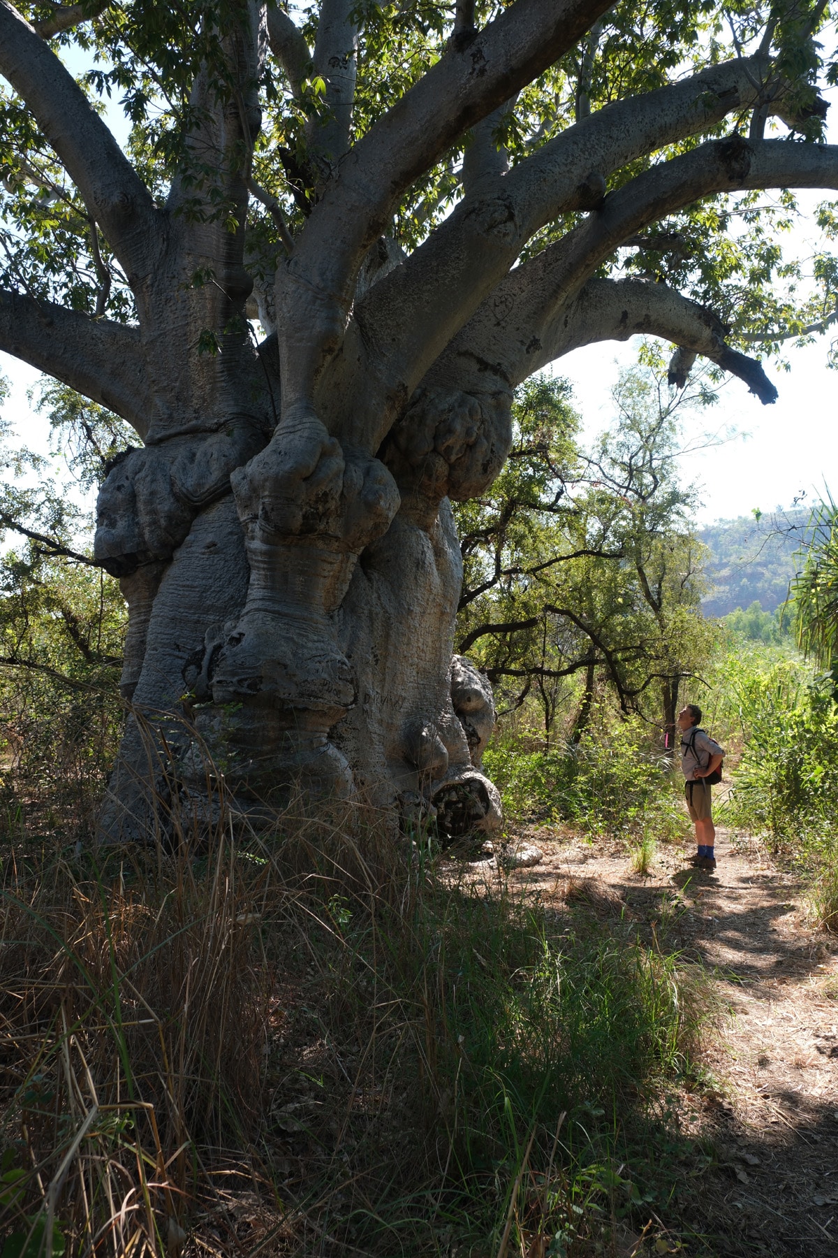 Champagne Springs, Western Australia | Walkers Journal