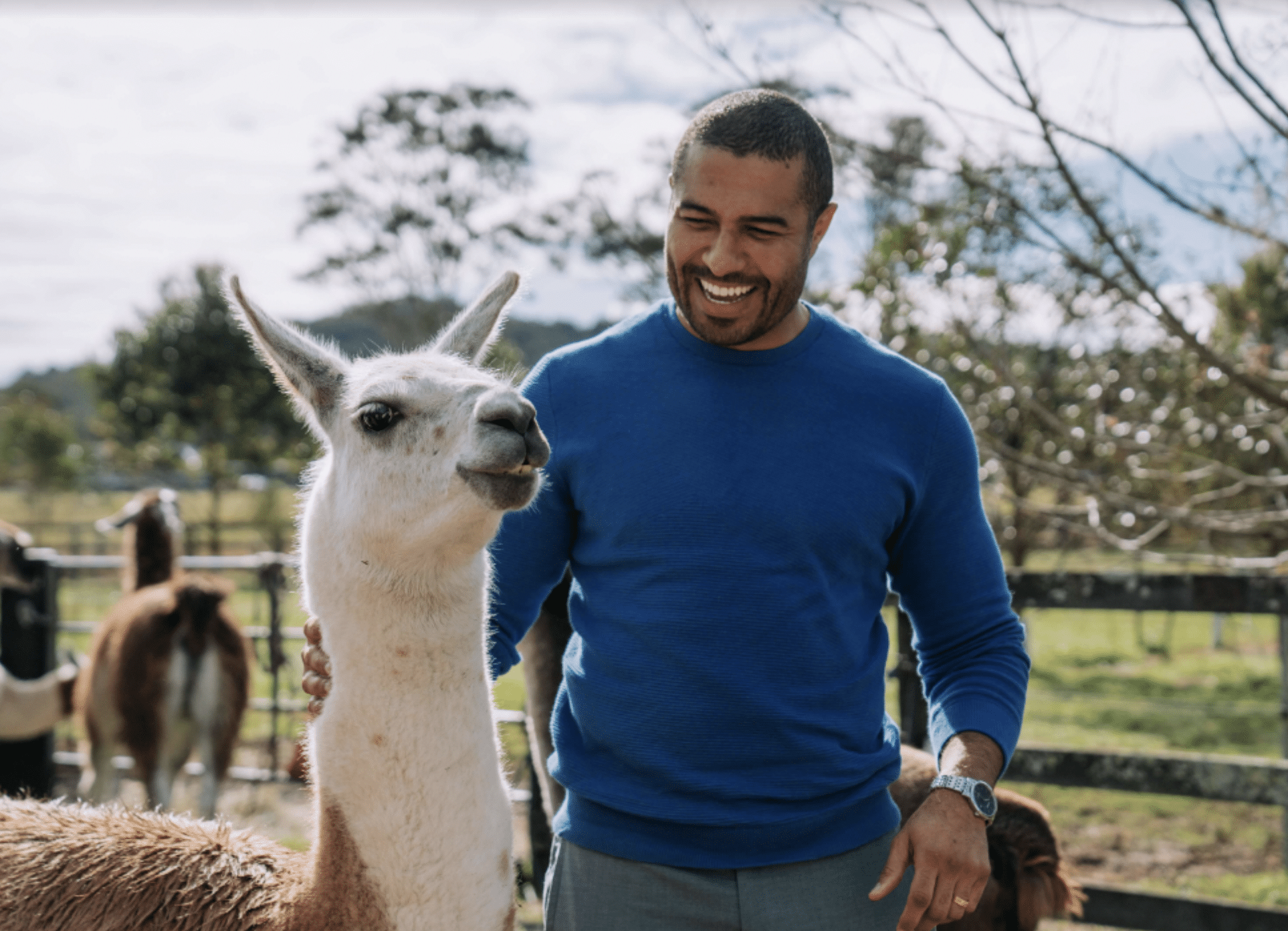 NSW Central Coast Wins Global Green Award - Walkers Journal