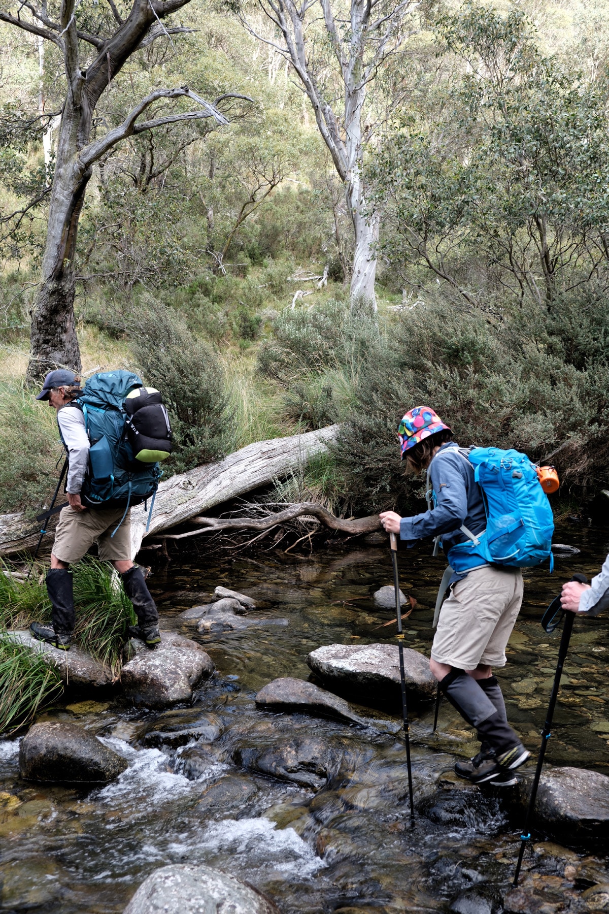 Cobungra Gap and Ditch Walk, Victoria | Walkers Journal