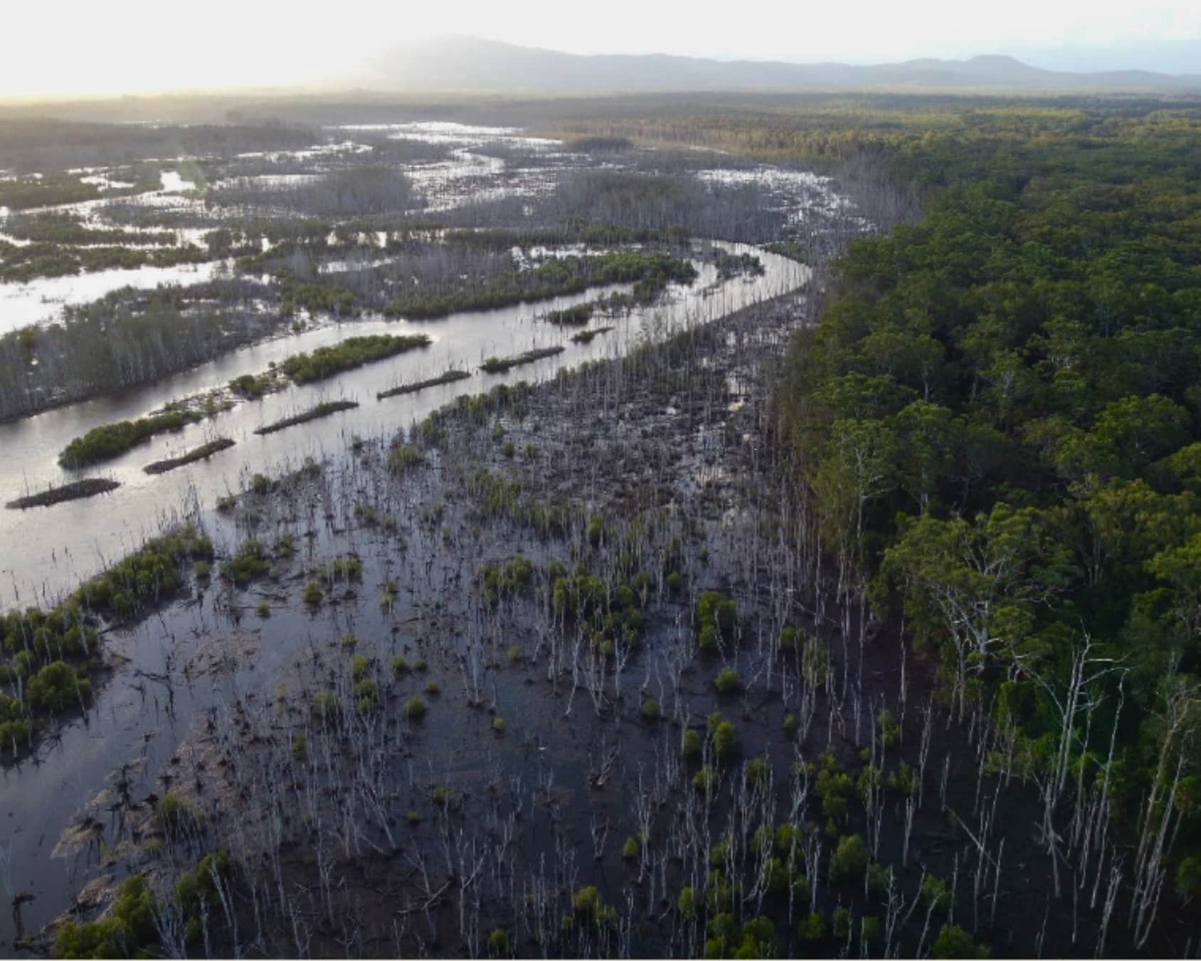 Revitalisation of Wetland Ecosystems 30 Years in the Making - Walkers ...