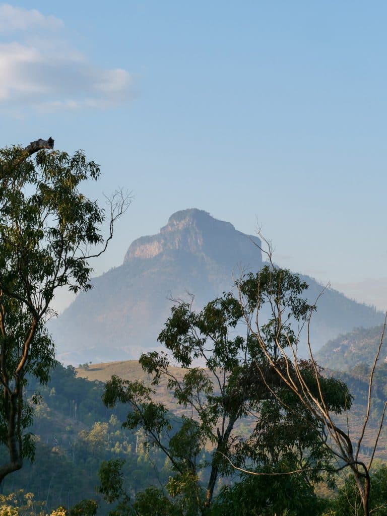 Yellow Pinch and Cronan Creek Falls, QLD | Walkers Journal