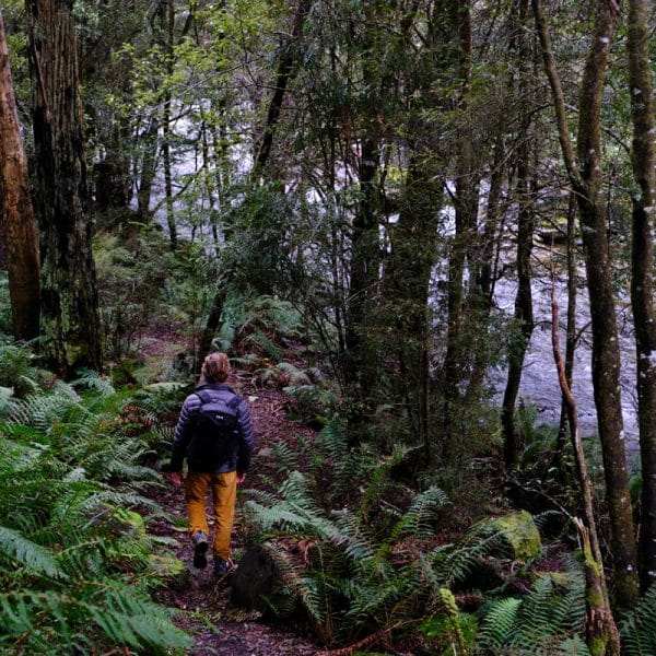 Launceston Hikes | Best Walking Tracks Launceston