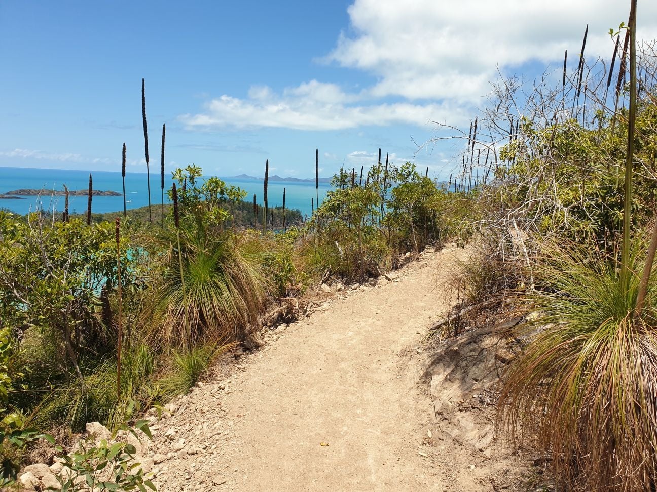 Ngaro Track – A New Way to Walk the Whitsundays - Walkers Journal