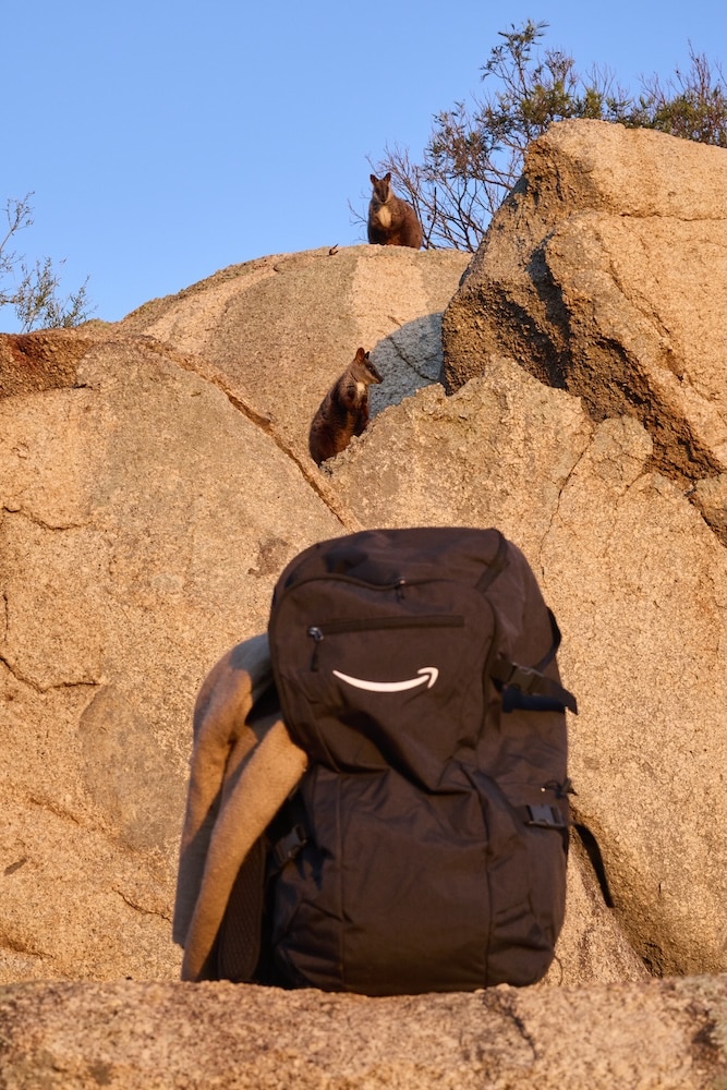 Amazon Funds Major Conservation Effort - Walkers Journal