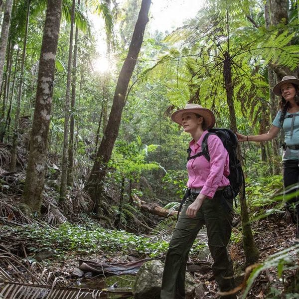 Ngaro Track – A New Way to Walk the Whitsundays - Walkers Journal